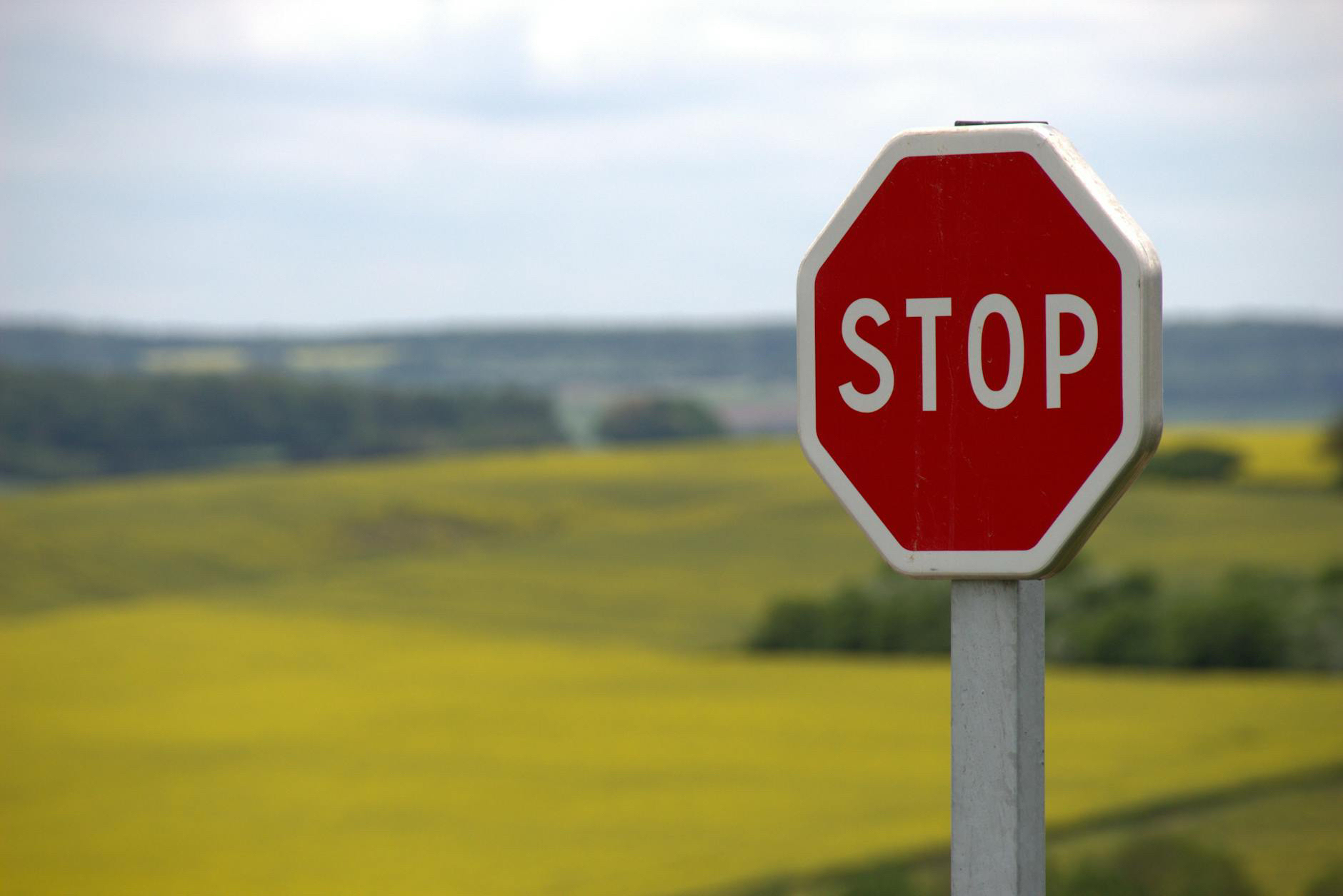 stop-shield-traffic-sign-road-sign-39080 – English Fixer 5000 JP